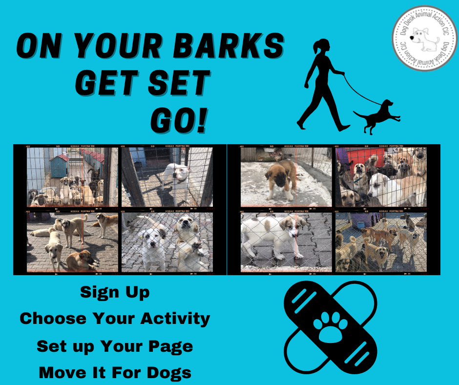 Move It For Dogs Fundraising Challenge – Dog Desk Animal Action CIC